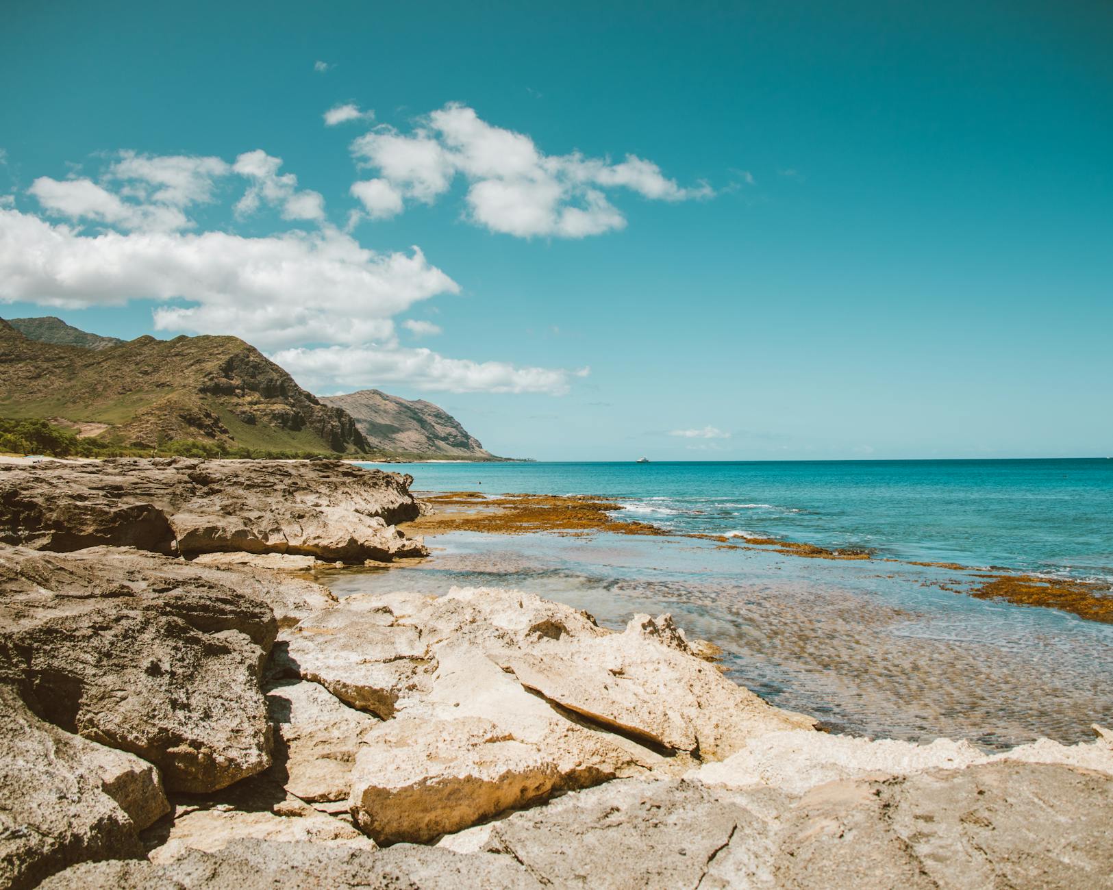 AICE Marine Science AS Chapter 5 Examples of marine ecosystems Day 4 ...