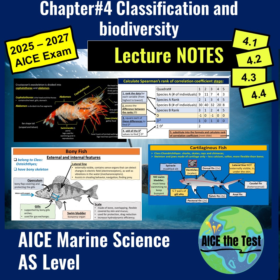 AICE Marine Chapter#4 Classification and Biodiversity NOTES/PPT - AICE ...