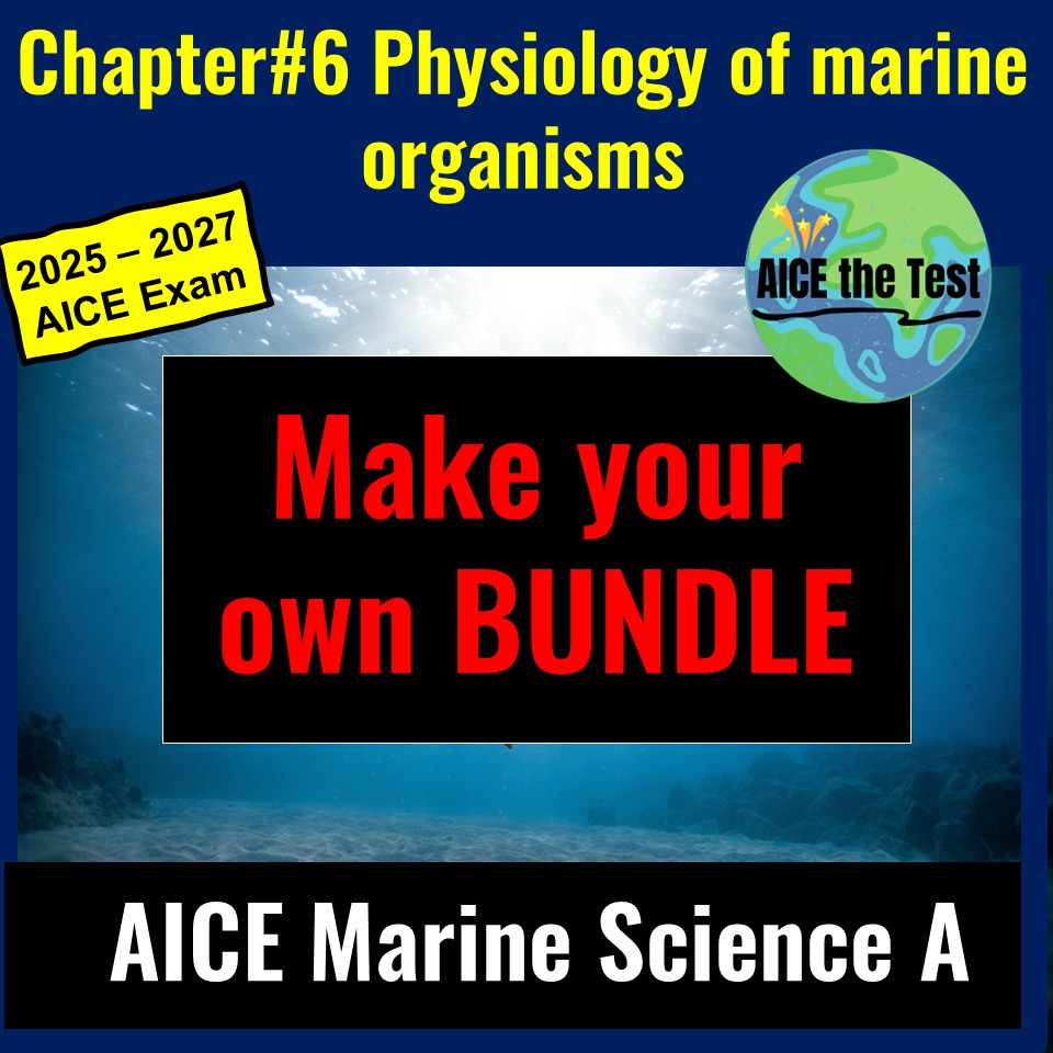 Make your own BUNDLE Chapter 6 - AICE The Test