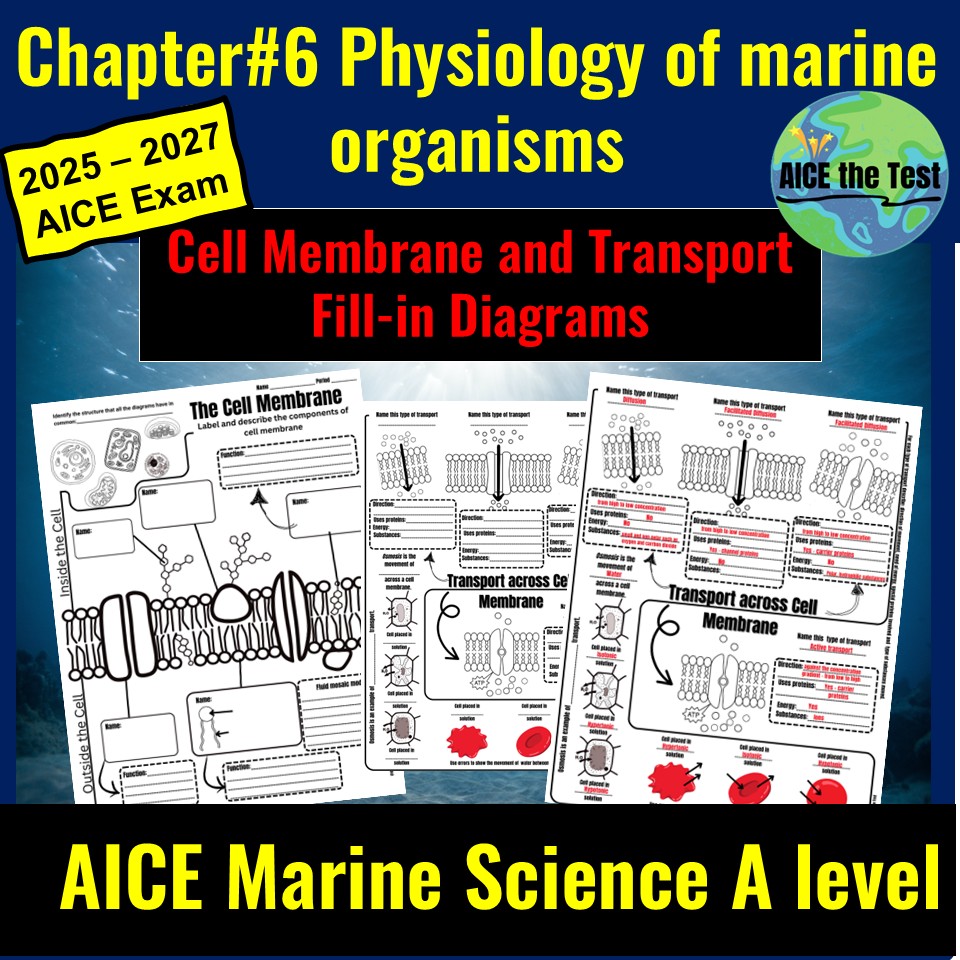 Cell Membrane and Transport Diagram - AICE The Test