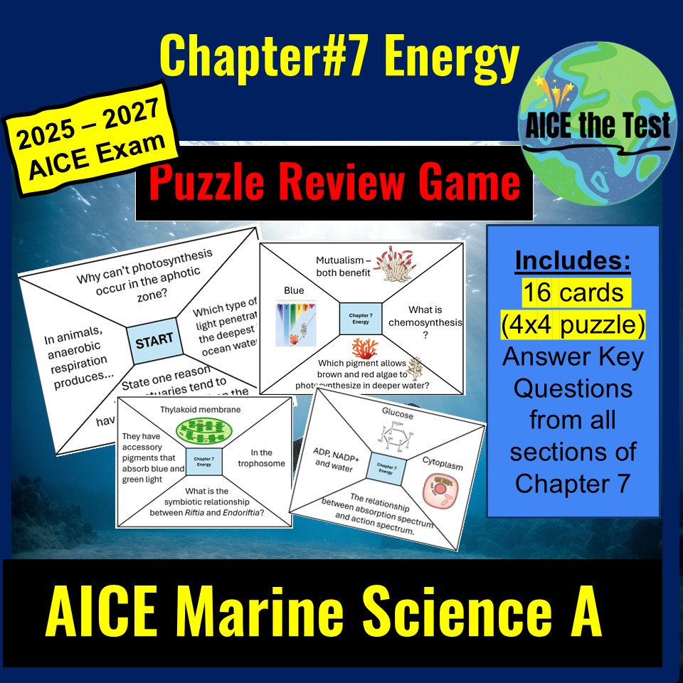 AICE Marine Science Chapter 7 Energy Review Puzzle | Interactive ...